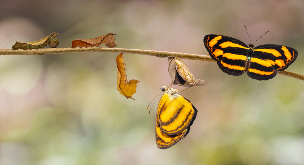 CASE STUDY | Centering Equity and Place-Based Approaches in Systemic Transformation